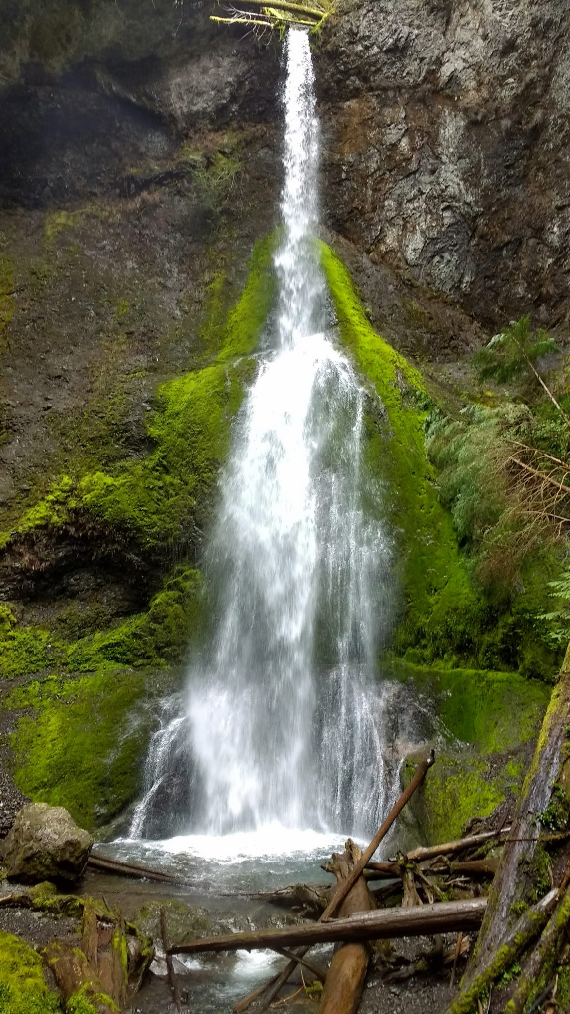 5 Best Olympic National Park Waterfalls - Ordinary Adventures